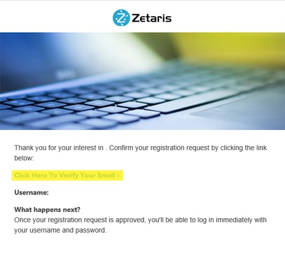 How to get access to the Zetaris Portal?
